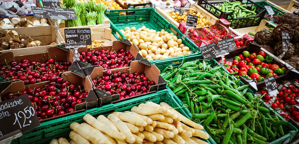 MG Transport – International Transportation